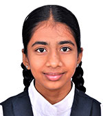 Solar ironing cart | National Innovation Foundation-India